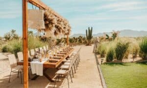 Top 10 Unique Destination Wedding Venues in Cabo you'll Love - Finds ...